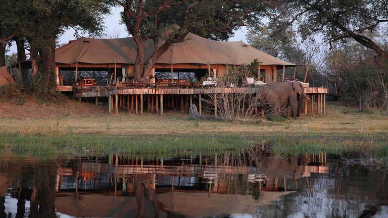 Zarafa camp | Linyanti Reserve | Botswana | Africa Uncovered