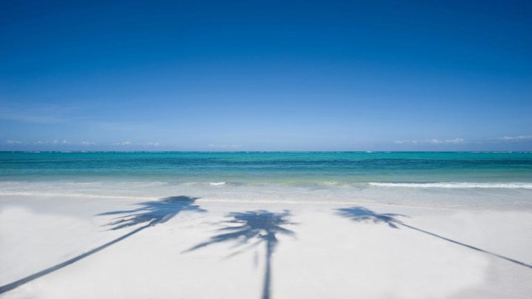 Baraza | Zanzibar Honeymoon | Tanzania Safari | Africa Uncovered