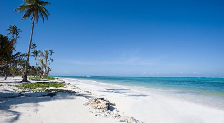 Baraza | Zanzibar Honeymoon | Tanzania Safari | Africa Uncovered