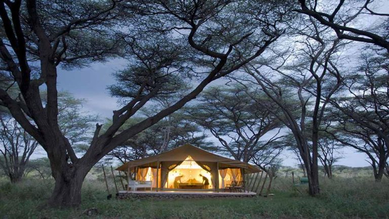 Shaba National Reserve | Luxury Safari | Kenya | Africa Uncovered